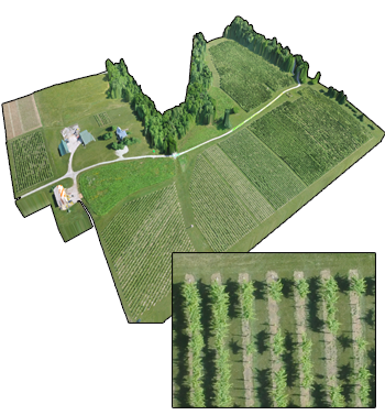 DroneMapper Precision Agriculture and Imagery Example Data | Drone ...